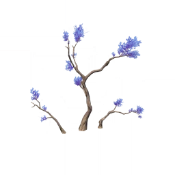 Swaying Shion | Genshin Impact Wiki | Fandom