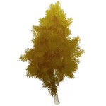 Tree | Genshin Impact Wiki | Fandom