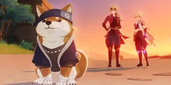 Perros ninja en la costa | Wiki Genshin Impact | Fandom
