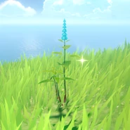 Mint | Genshin Impact Wiki | Fandom