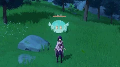 Large Anemo Slime | Genshin Impact Wiki | Fandom