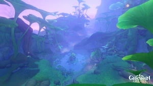 Vanarana (Area) | Genshin Impact Wiki | Fandom