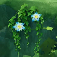 Kalpalata Lotus | Genshin Impact Wiki | Fandom