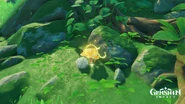 Activated Starshroom | Genshin Impact Wiki | Fandom