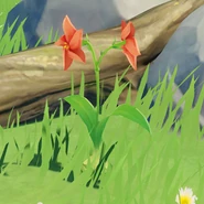 Windwheel Aster | Genshin Impact Wiki | Fandom