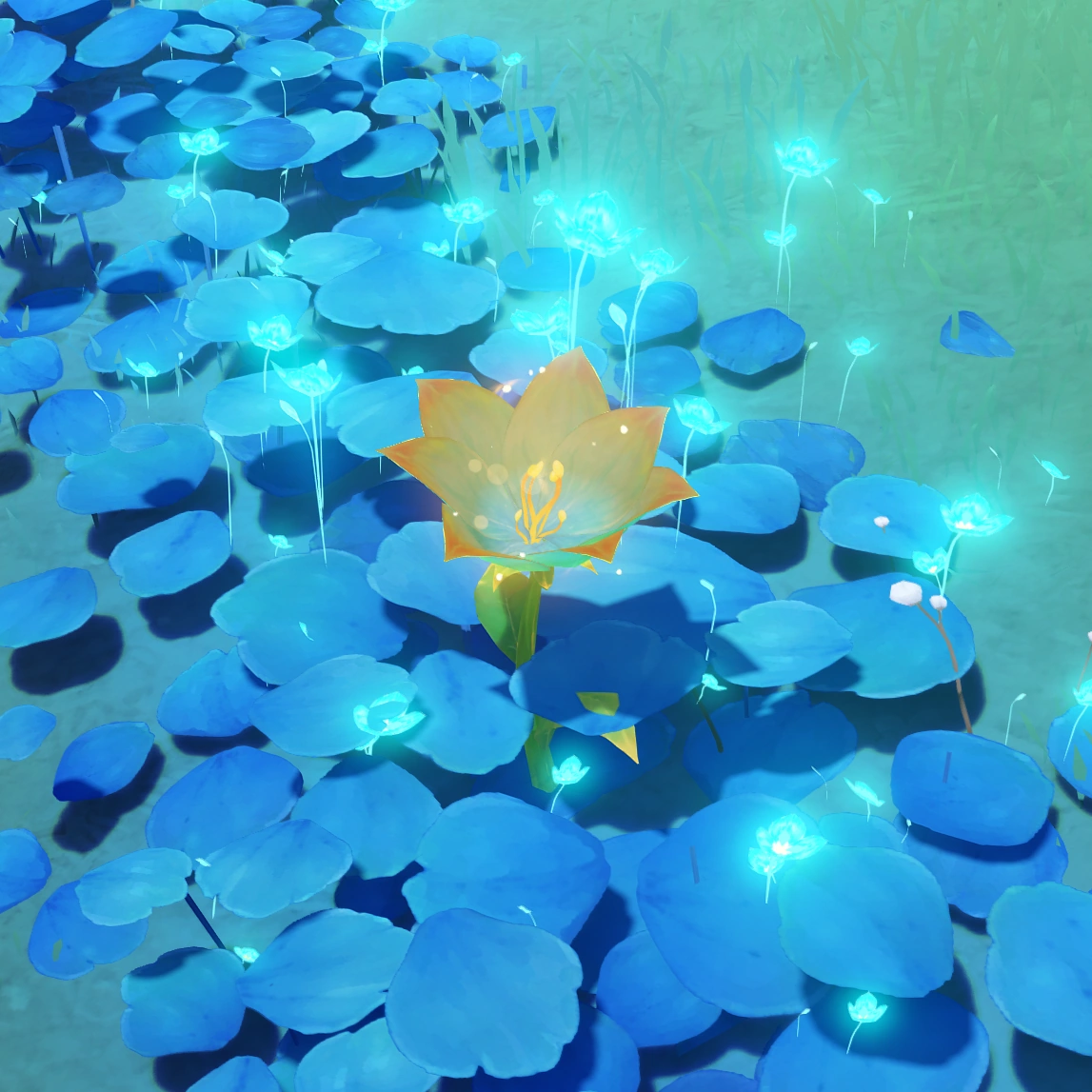 Sunyata Flower | Genshin Impact Wiki | Fandom