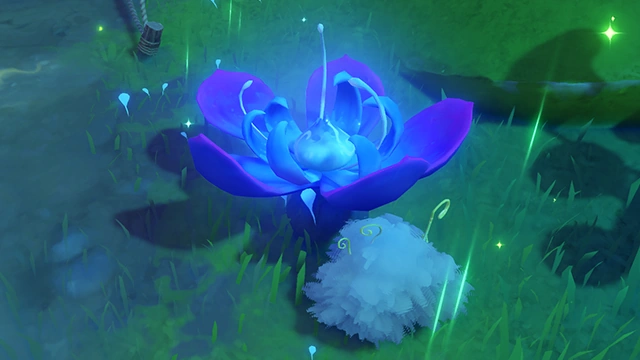 夢の花 | 原神 Wiki | Fandom