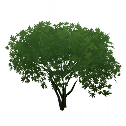 Verdant Bloom | Genshin Impact Wiki | Fandom