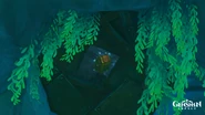 Foggy Forest Branch | Genshin Impact Wiki | Fandom