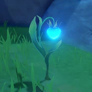 Small Lamp Grass | Genshin Impact Wiki | Fandom