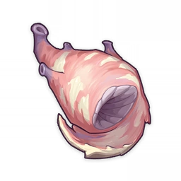 Tiny Conch | Genshin Impact Wiki | Fandom