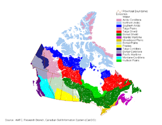 Taiga Shield | Geoclass Wiki | Fandom