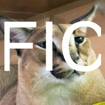 Floppa Independent Coalition | GeoFS Wiki | Fandom