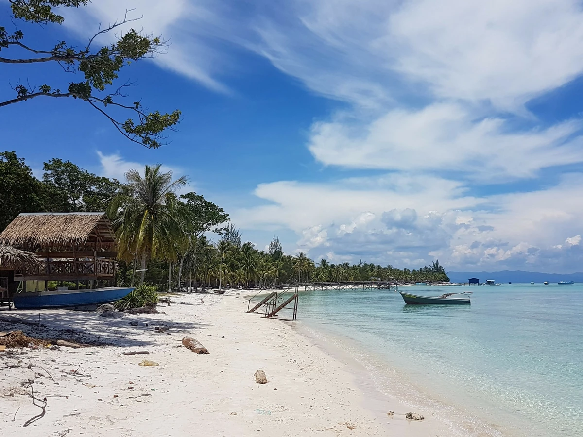 Borneo | Geografia Wiki | Fandom