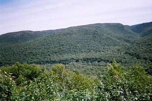 Aspy Fault | Geology Wiki | Fandom