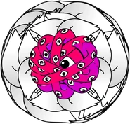 User blog:Nikita1234567890/wolfpentagon difficucly chart | Geometry ...