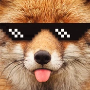 Samifying | Geometry Dash Fan Wiki | Fandom