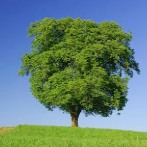 Mefewe | Geometry Dash вики | Fandom