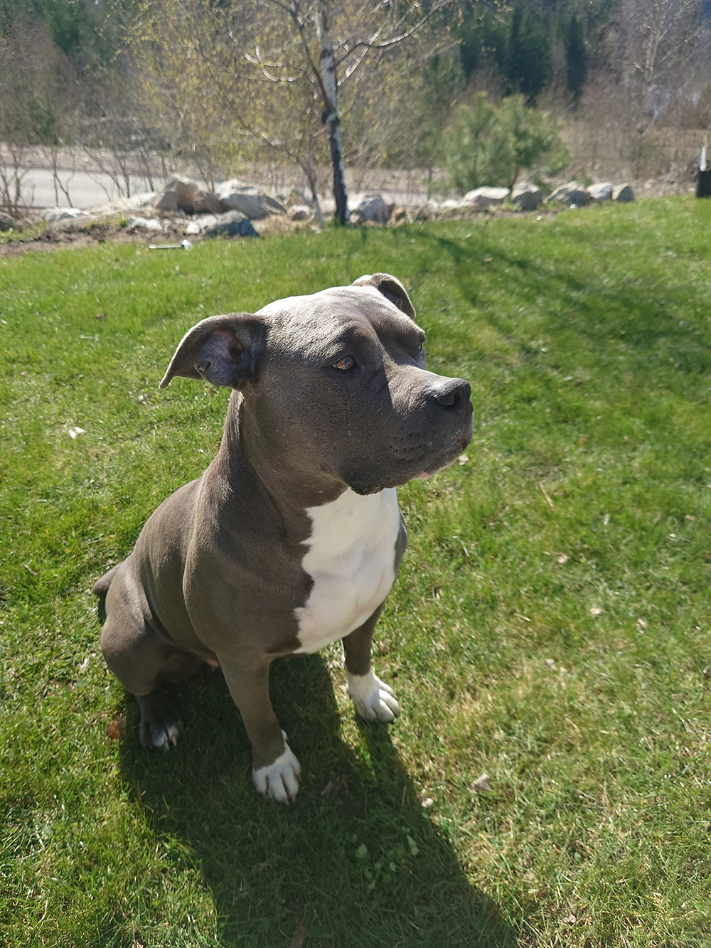 Robert Topala | Geometry Dash Wiki | Fandom