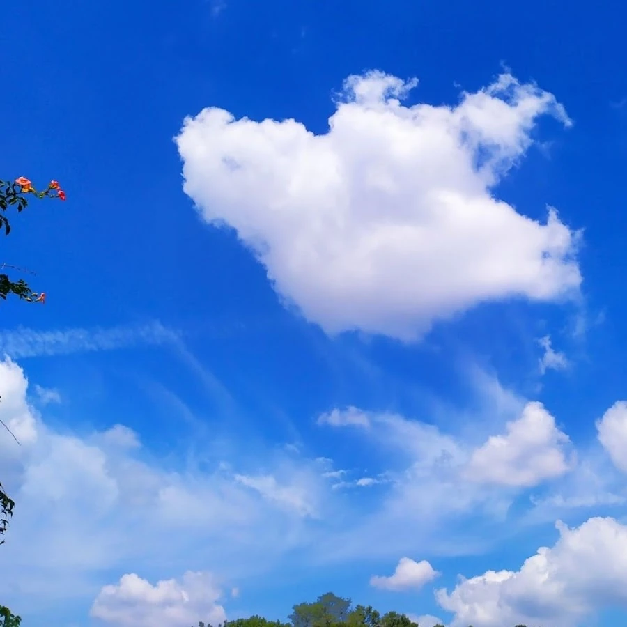 MidNight2 | Geometry Dash вики | Fandom