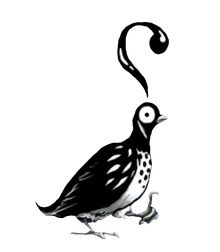 Query | Geomon Wiki | Fandom