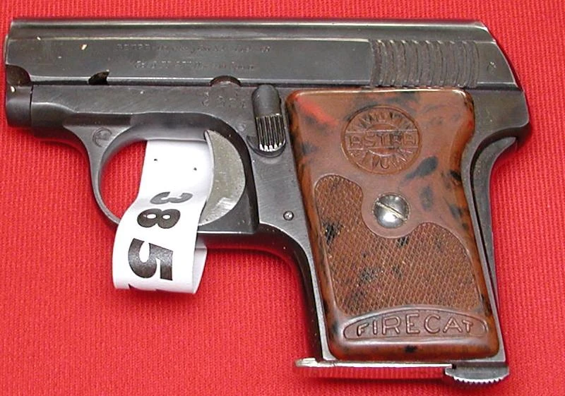 Astra Firecat | George A Romero's Dawn Of The Dead Wiki | Fandom