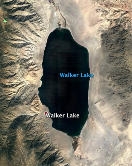 Walker Lake | Geography Study Guide Wiki | Fandom