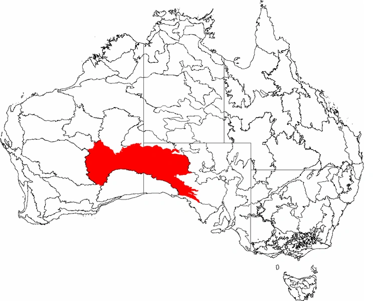 Great Victoria Desert | Geography Study Guide Wiki | Fandom