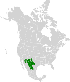 Chihuahuan Desert | Geography Study Guide Wiki | Fandom