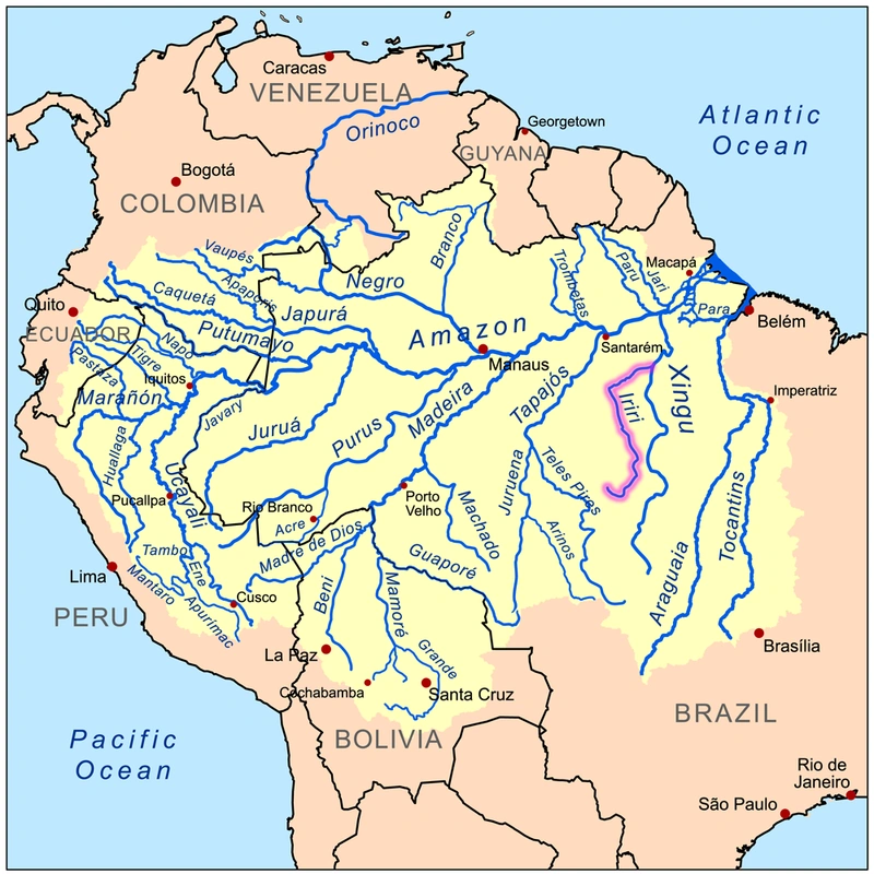 Iriri River | Geography Study Guide Wiki | Fandom
