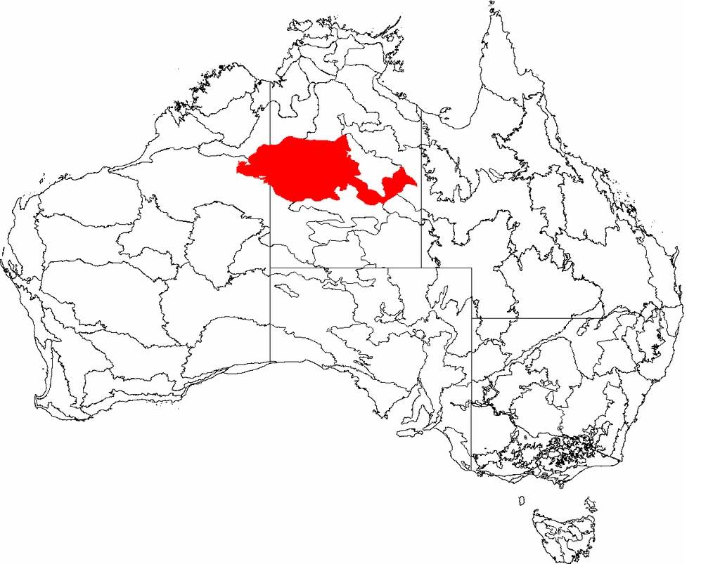 Tanami Desert | Geography Study Guide Wiki | Fandom
