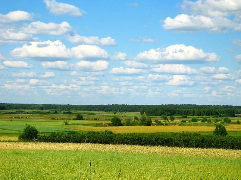 Kurosekan Plateau | Gernon Wiki | Fandom