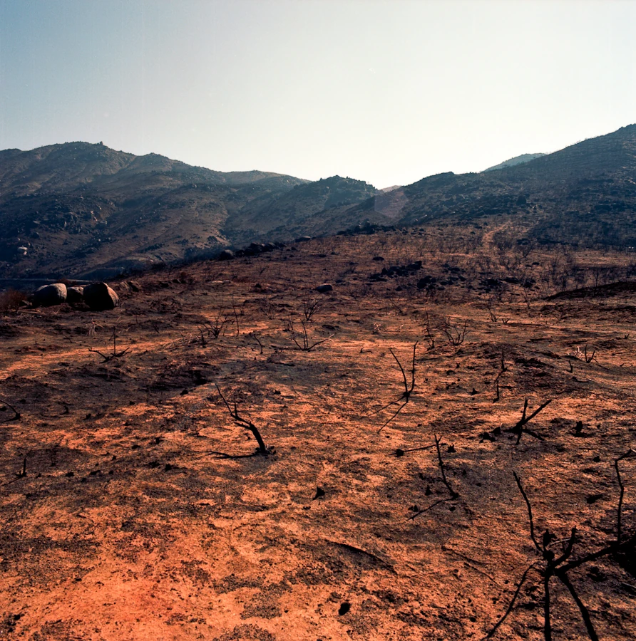 Great Plains | Gernon Wiki | Fandom