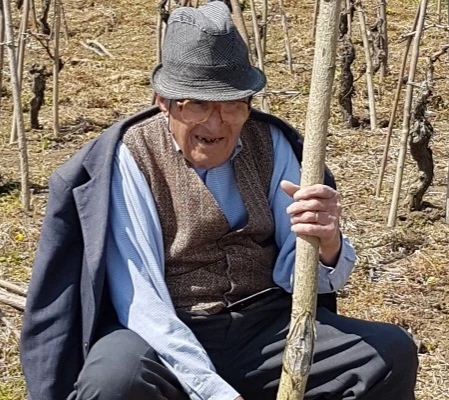 Vitantonio Lovallo | Gerontology Wiki | Fandom