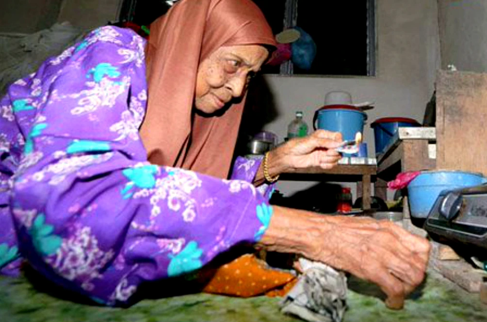 Puan Ahmad | Gerontology Wiki | Fandom