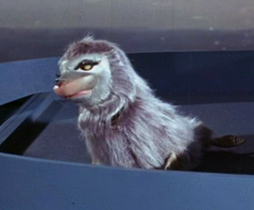 Oink | Gerry Anderson Encyclopedia | Fandom