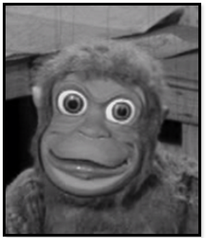 Mitch the Monkey | Gerry Anderson Encyclopedia | Fandom