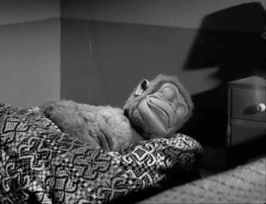 Mitch the Monkey | Gerry Anderson Encyclopedia | Fandom