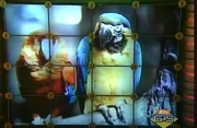 Season 1 Episode 2 | Get the Picture Wiki | Fandom
