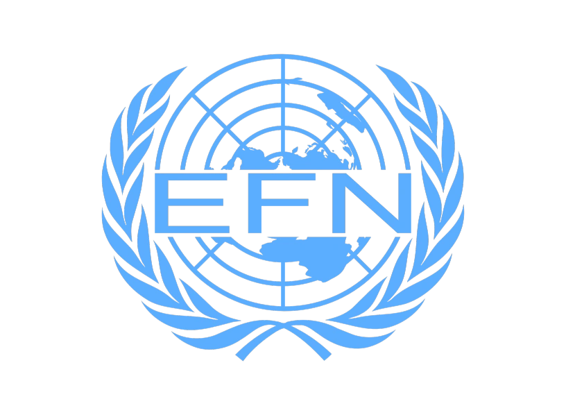 Earth Federal Navy | GetBrocked: Outlands Wiki | Fandom