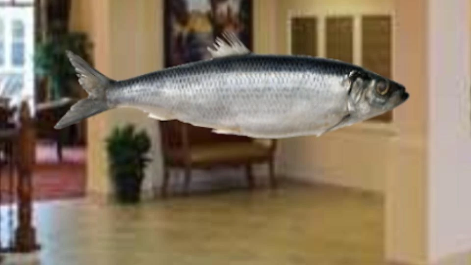 Mr. Fishy | Gets Grounded Wiki | Fandom