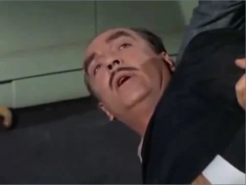 Inspector Sehokian | Get Smart Wiki | Fandom