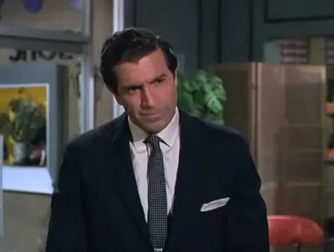 Herman | Get Smart Wiki | Fandom