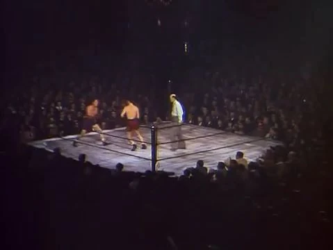 Davis Arena | Get Smart Wiki | Fandom