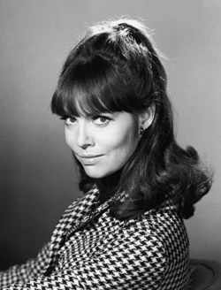 Barbara Feldon | Get Smart Wiki | Fandom