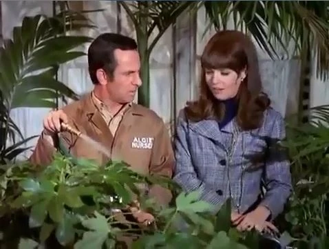 What's It All About, Algie? | Get Smart Wiki | Fandom