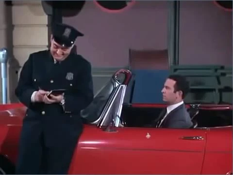 Police | Get Smart Wiki | Fandom