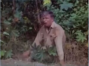 Agent 27 | Get Smart Wiki | Fandom