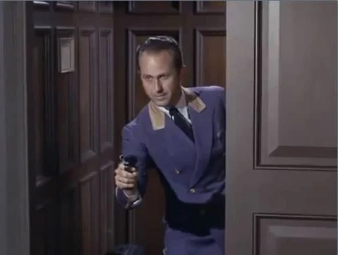 Agent 48 | Get Smart Wiki | Fandom