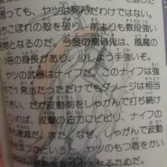 Ryukotsuki | GetsuFumaDen Wiki | Fandom